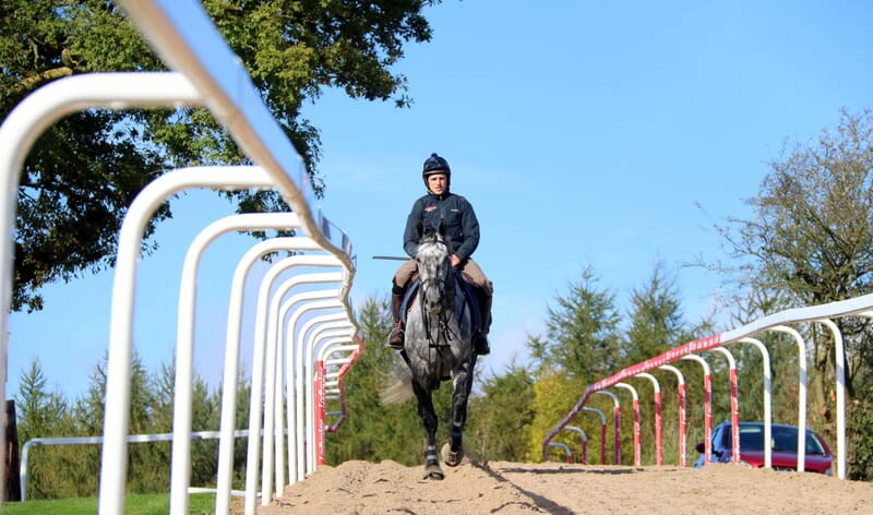 Horse Racing: VIP Behind the Scenes Stables Experience | Gala Hospitality