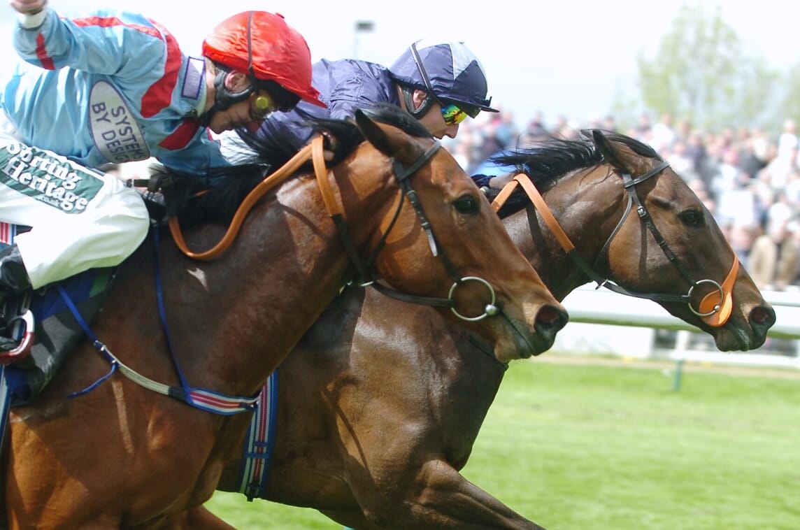 Horse Racing Hospitality | Gala Hospitality