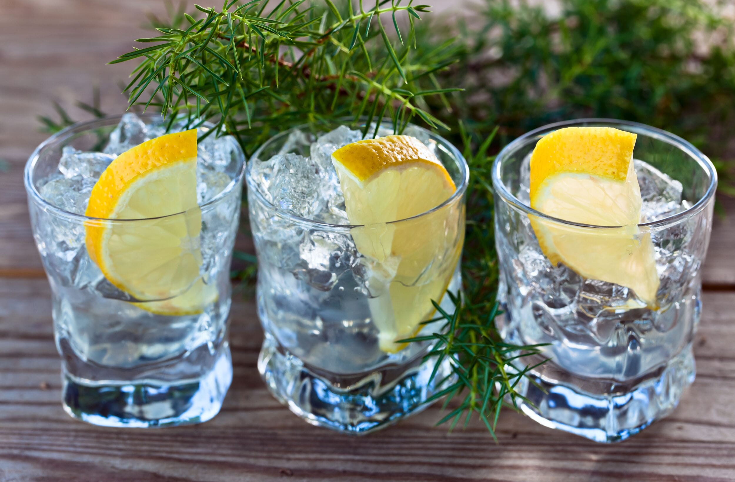 Online Event: The Ultimate Celebrity Gin Tasting… in your home! | Gala ...
